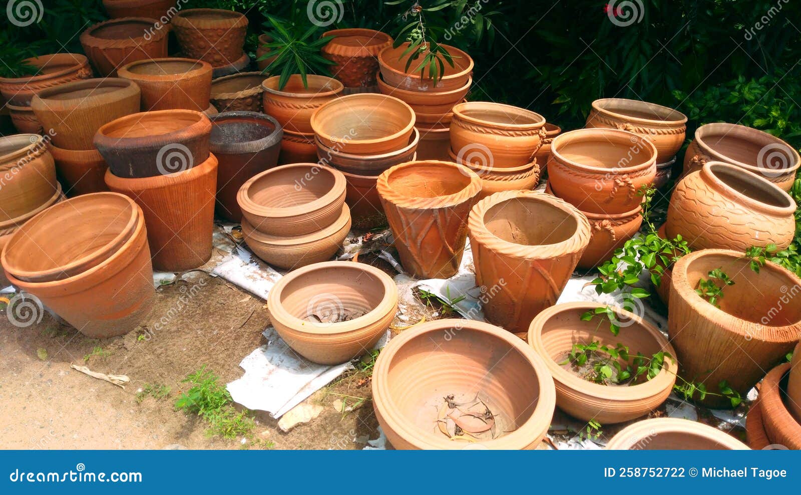 Pots for Growing Young Flowers. Stock Photo - Image of growing, plants ...