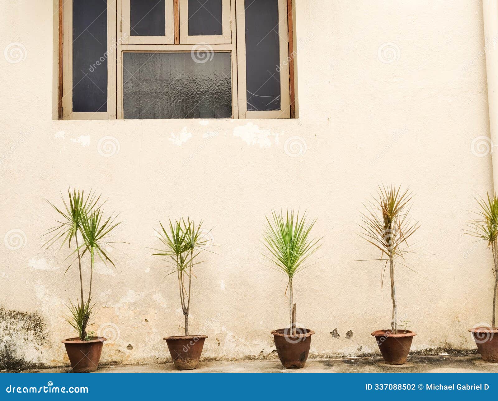 Pots with Plants Under a Window Outdoors Go Green Stock Photo - Image ...