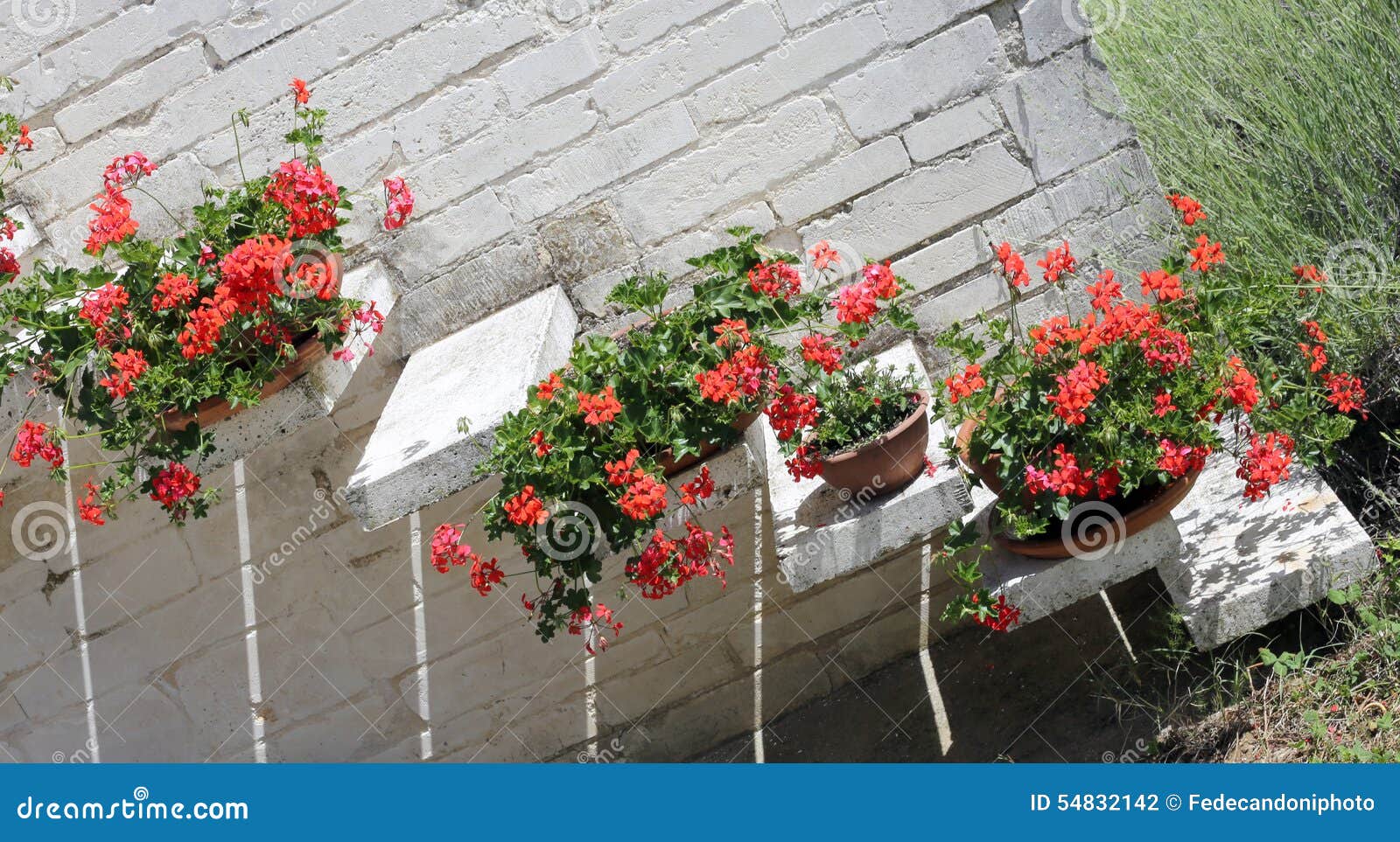 Pots of Red Geraniums in the Staircase of the Mediterranean House Stock ...
