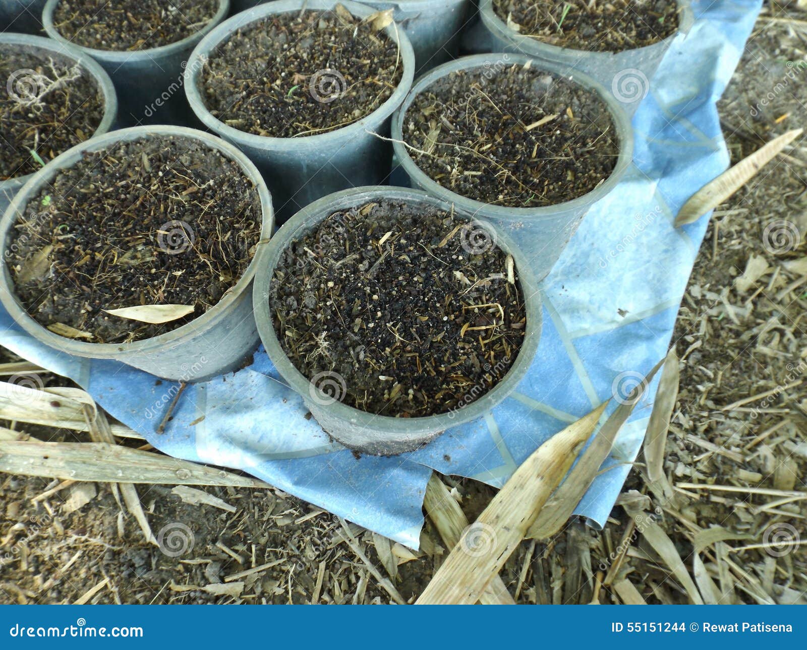 Pots with Soil stock photo. Image of nature, ground, botanical - 55151244