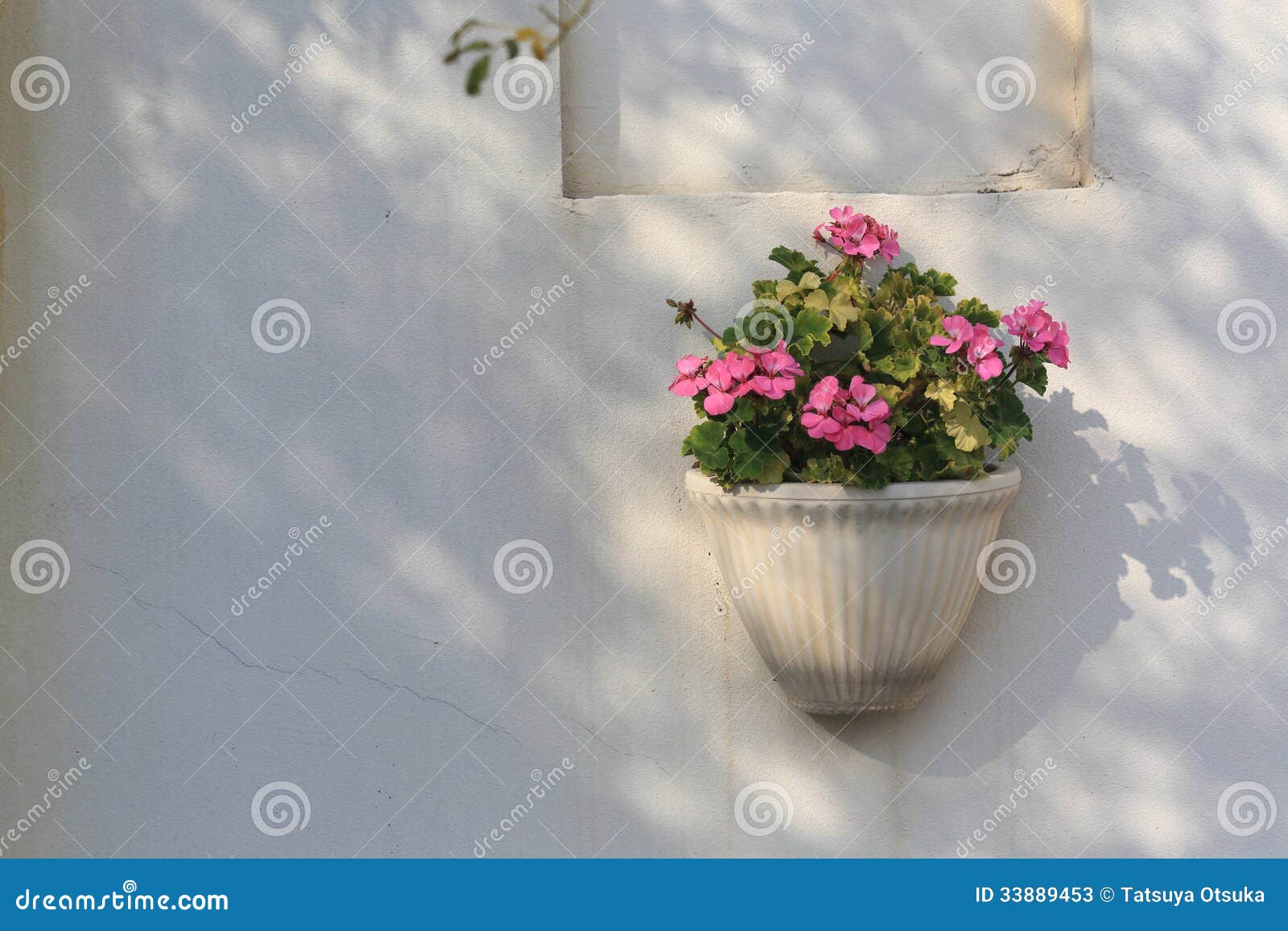 Potted Geraniums on the White Wall Stock Image - Image of shadow ...
