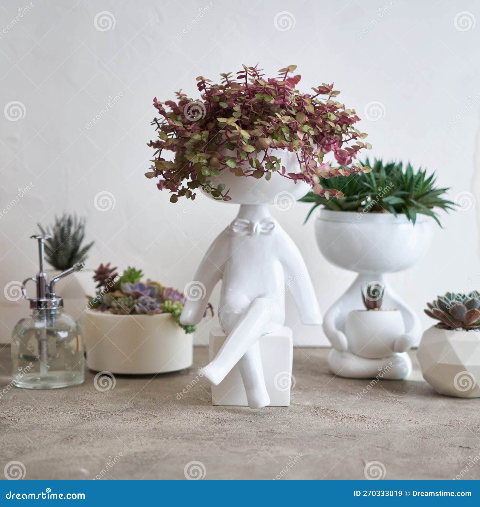 Potted House Plant in White Ceramic Human Like Pot Stock Image - Image ...