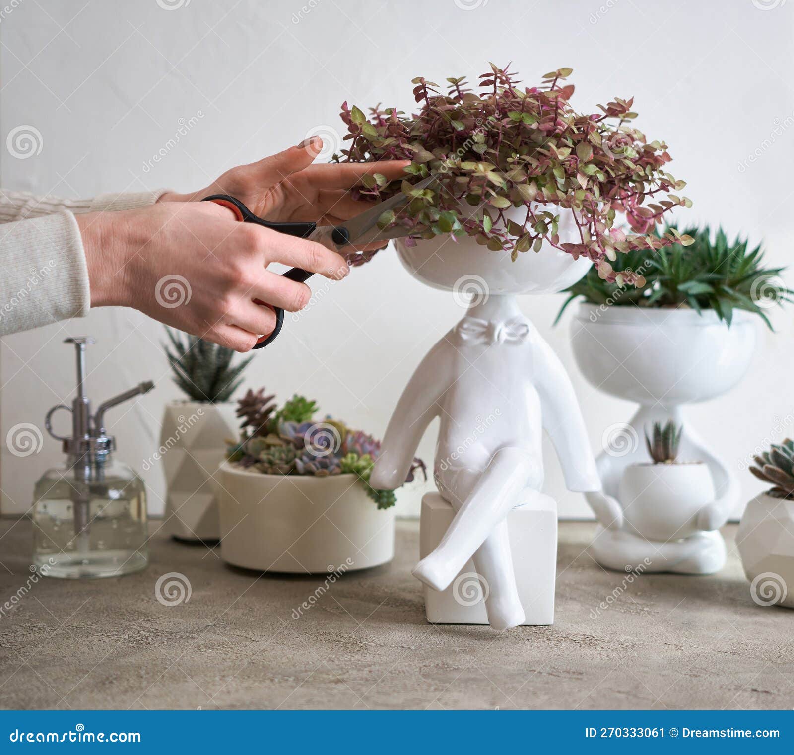 Potted House Plant in White Ceramic Human Like Pot Stock Image - Image ...