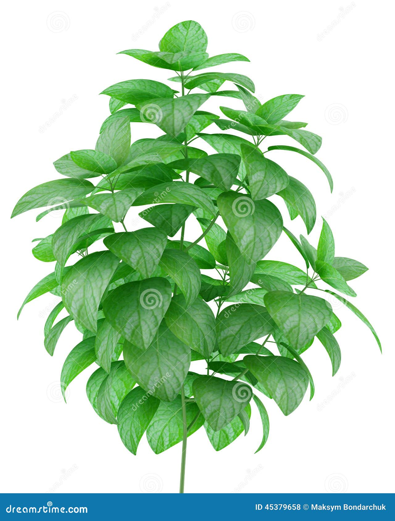 Mint Plant Icon Clipart Avatar Logotype Isolated Illustration Cartoon ...