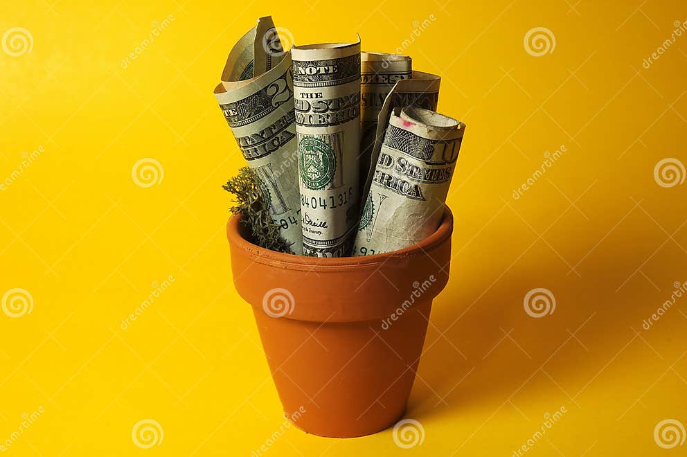 Potted Money stock photo. Image of banking, financial, save - 17542