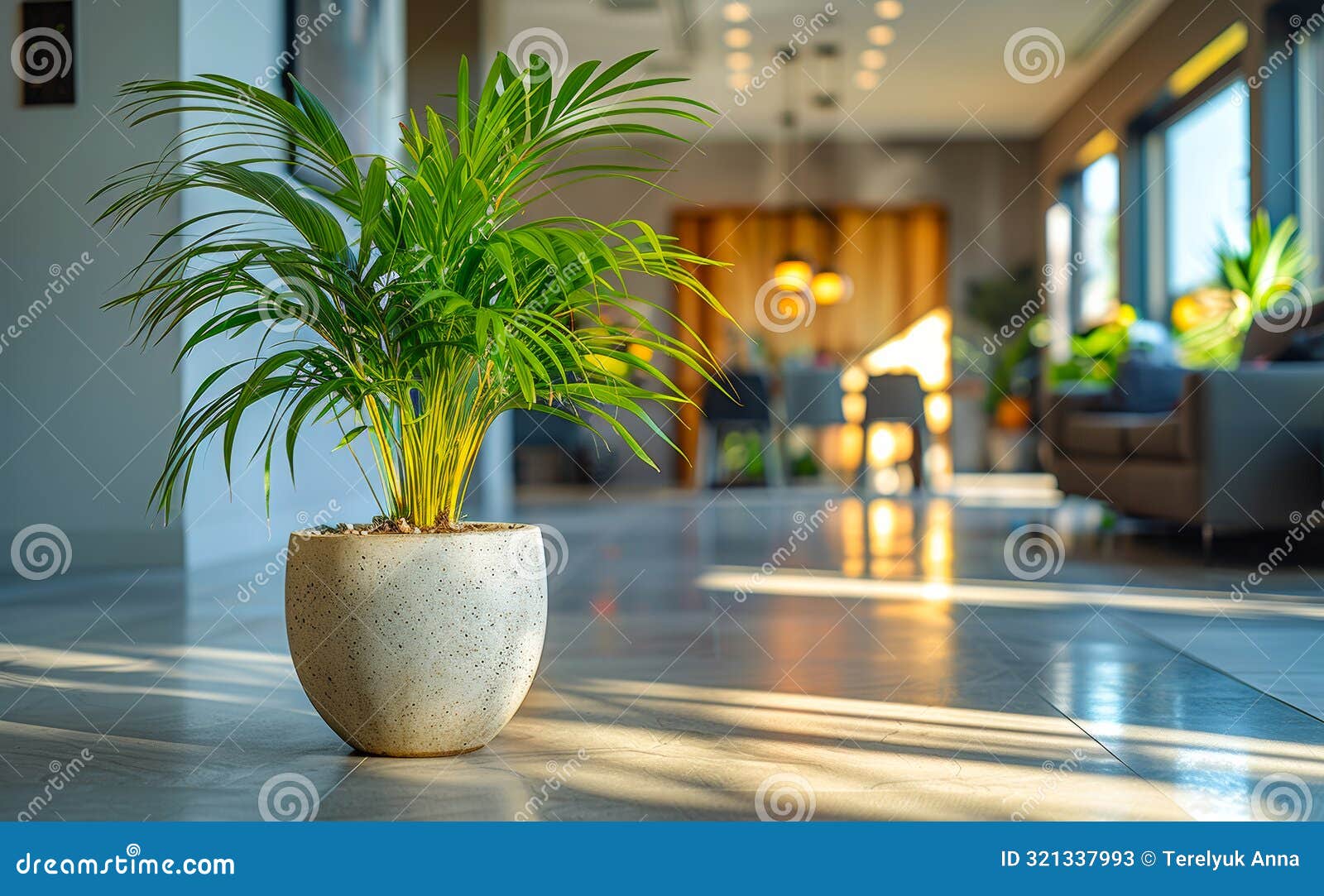 Potted Plant in Modern Office Building Lobby Stock Image - Image of ...
