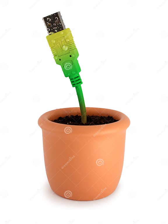 Potted Plant with Usb Cable Stock Image - Image of garden, isolated ...