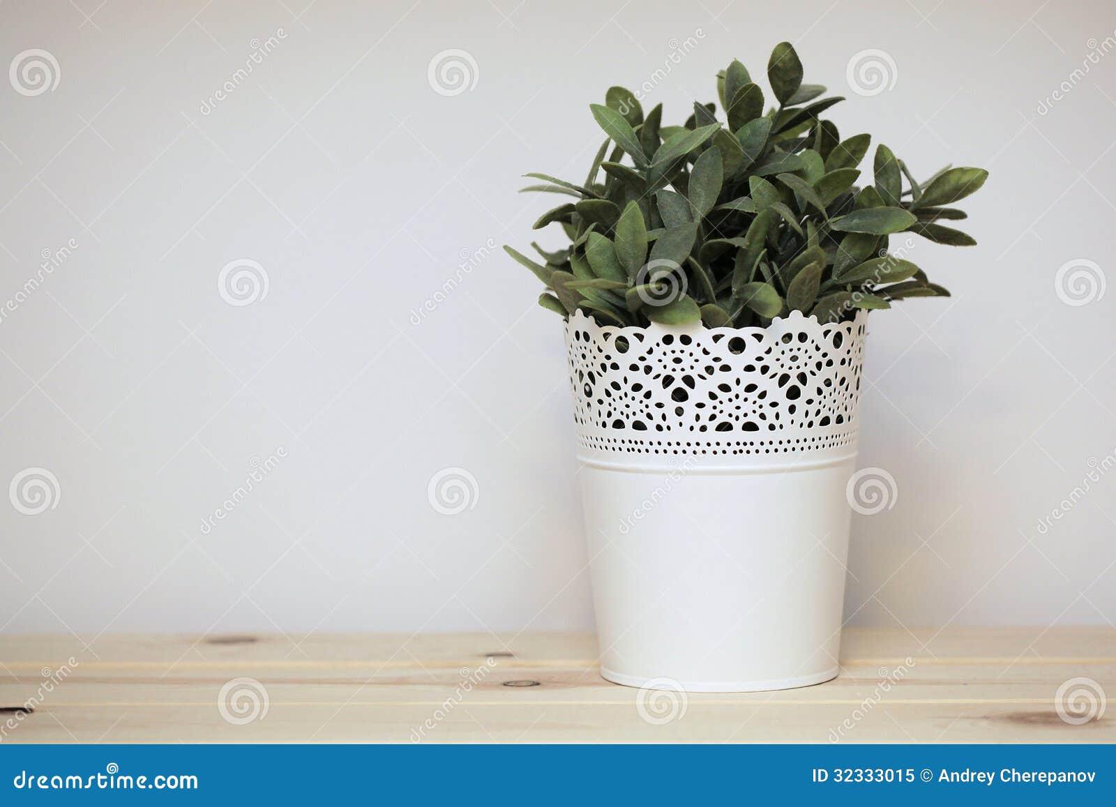 Potted plant stock image. Image of vitality, evergreen - 32333015