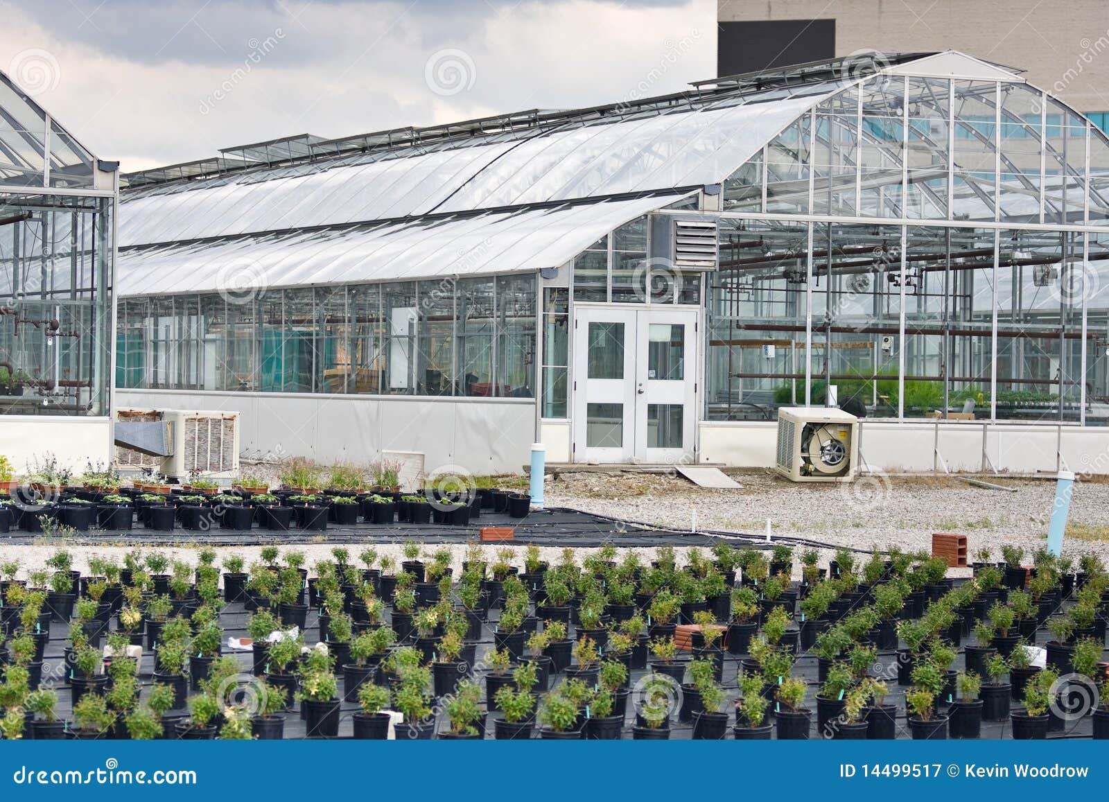 Potted Plants in Front of Greenhouses Stock Image - Image of shiny ...
