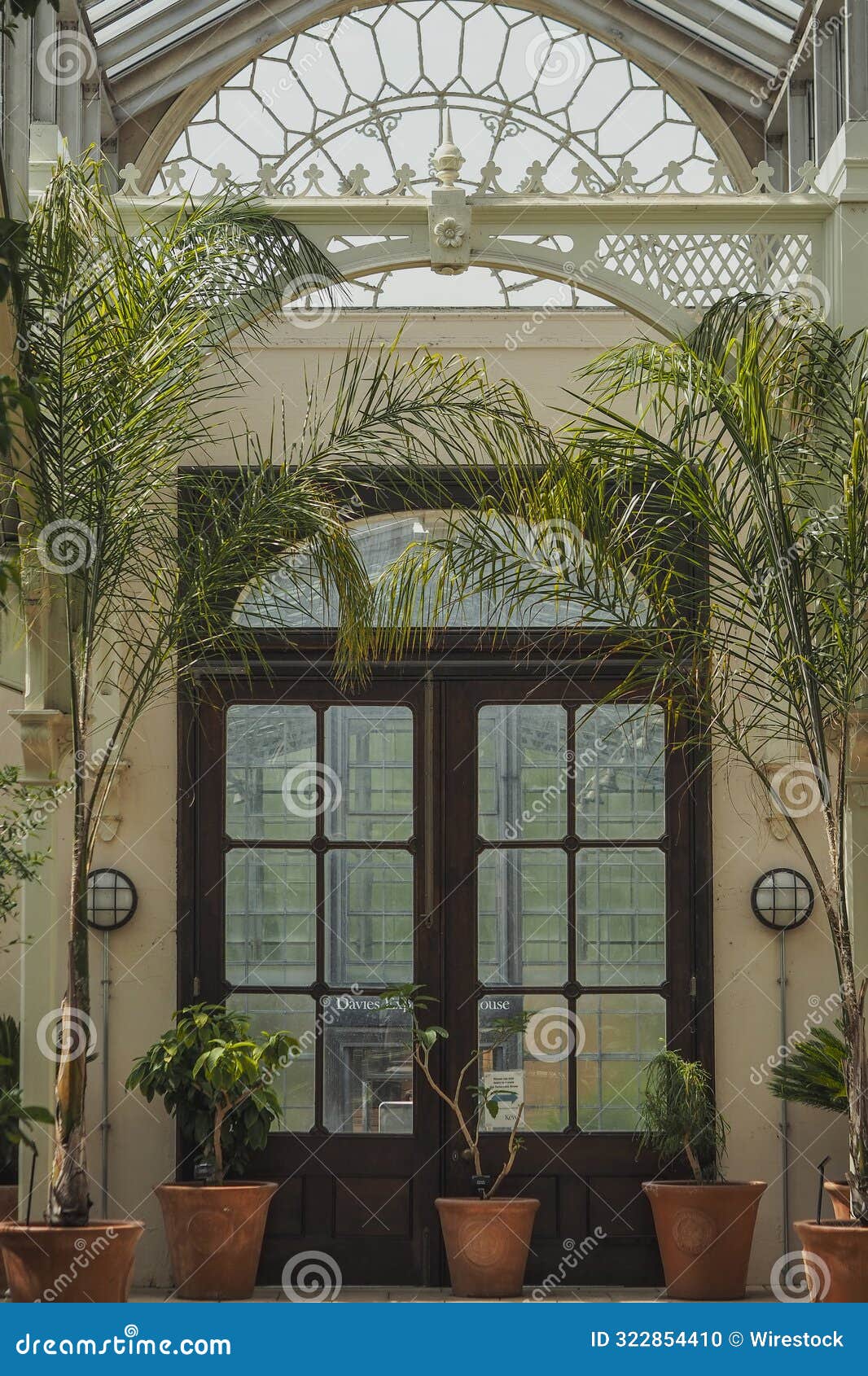 Plants in Front of a White Building Facade Stock Photo - Image of ...