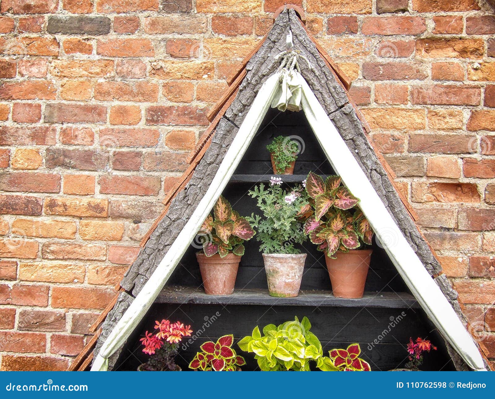 Potted Plants in Triangular Shelving Unit Stock Photo - Image of garden ...