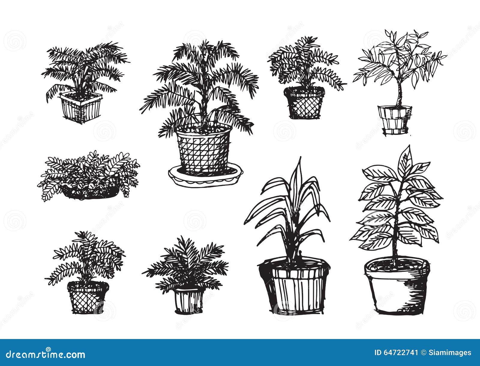 Potted Tree Sketch. Vector Indoor Plant In A Pot. Doodle Color ...