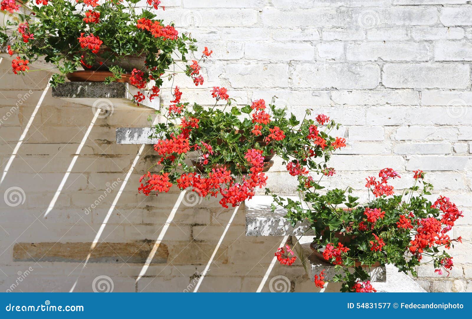 Potten Van Rode Geraniums in De Trap Van Het Italiaanse Huis Stock ...