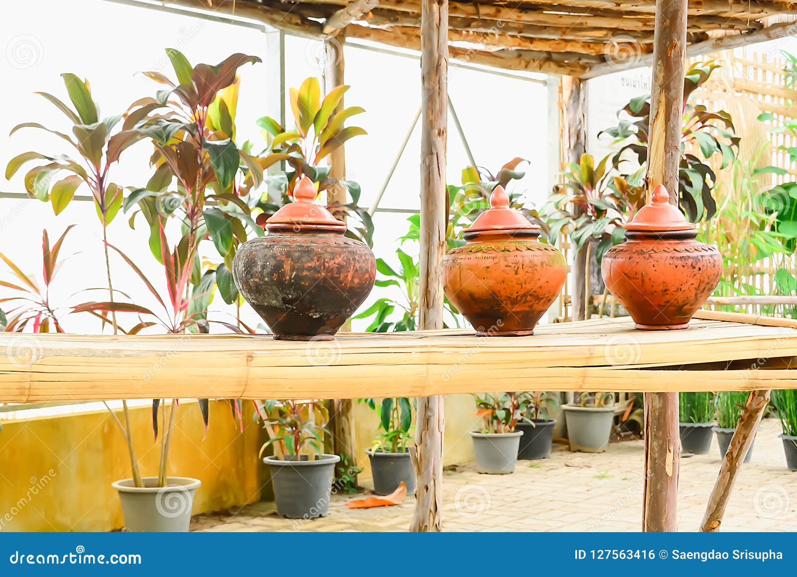 Pottery is Placed on Bamboo Racks. Stock Photo - Image of handmade ...