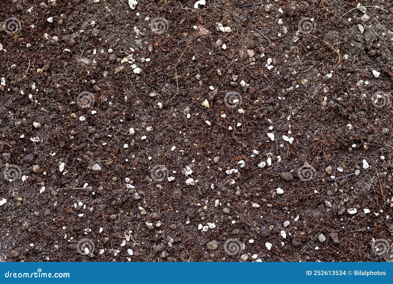 Potting Mix Soil for Potted Plants Top View Stock Photo - Image of farm ...