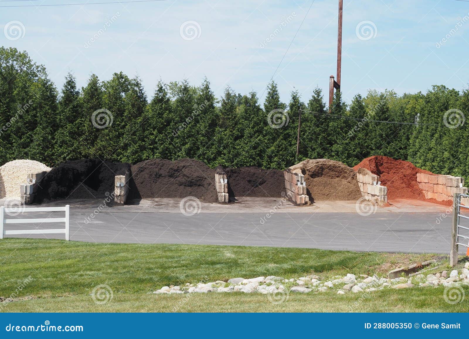 There are Several Different Choices of Potting Soil. Stock Photo ...