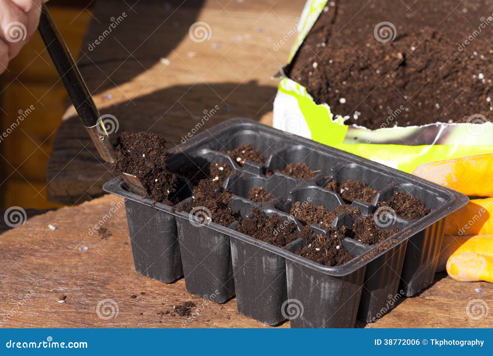 Potting Soil in Small Plastic Plant Trays Stock Photo - Image of green ...