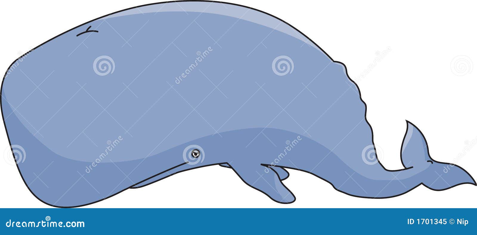 Pottwal vektor abbildung. Illustration von säugetier, vektor - 1701345