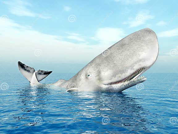 Potvis stock illustratie. Illustration of wolken, nave - 31820227