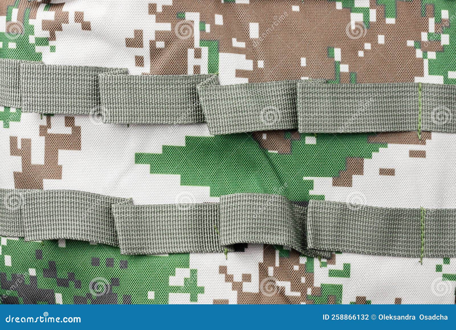 Pouch Attachment Ladder System. Molle Webbing Stock Photo - Image of ...