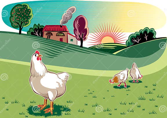 Poules dans un pré illustration stock. Illustration du poule - 87875918