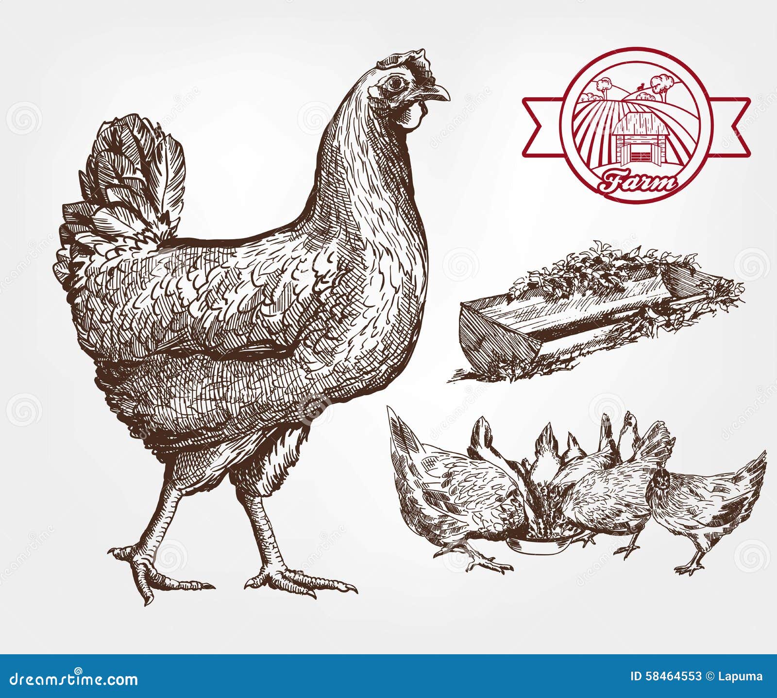 Poultry breeding stock vector. Illustration of avian - 58464553