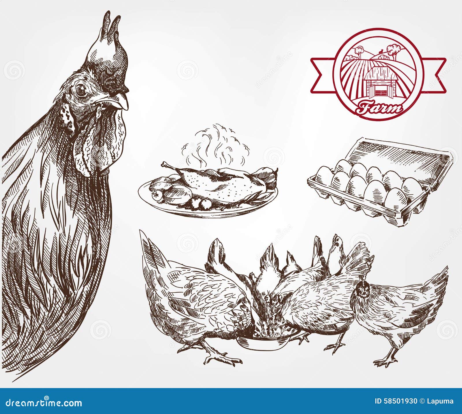Poultry Breeding Sketches Vector Illustration | CartoonDealer.com #63859696