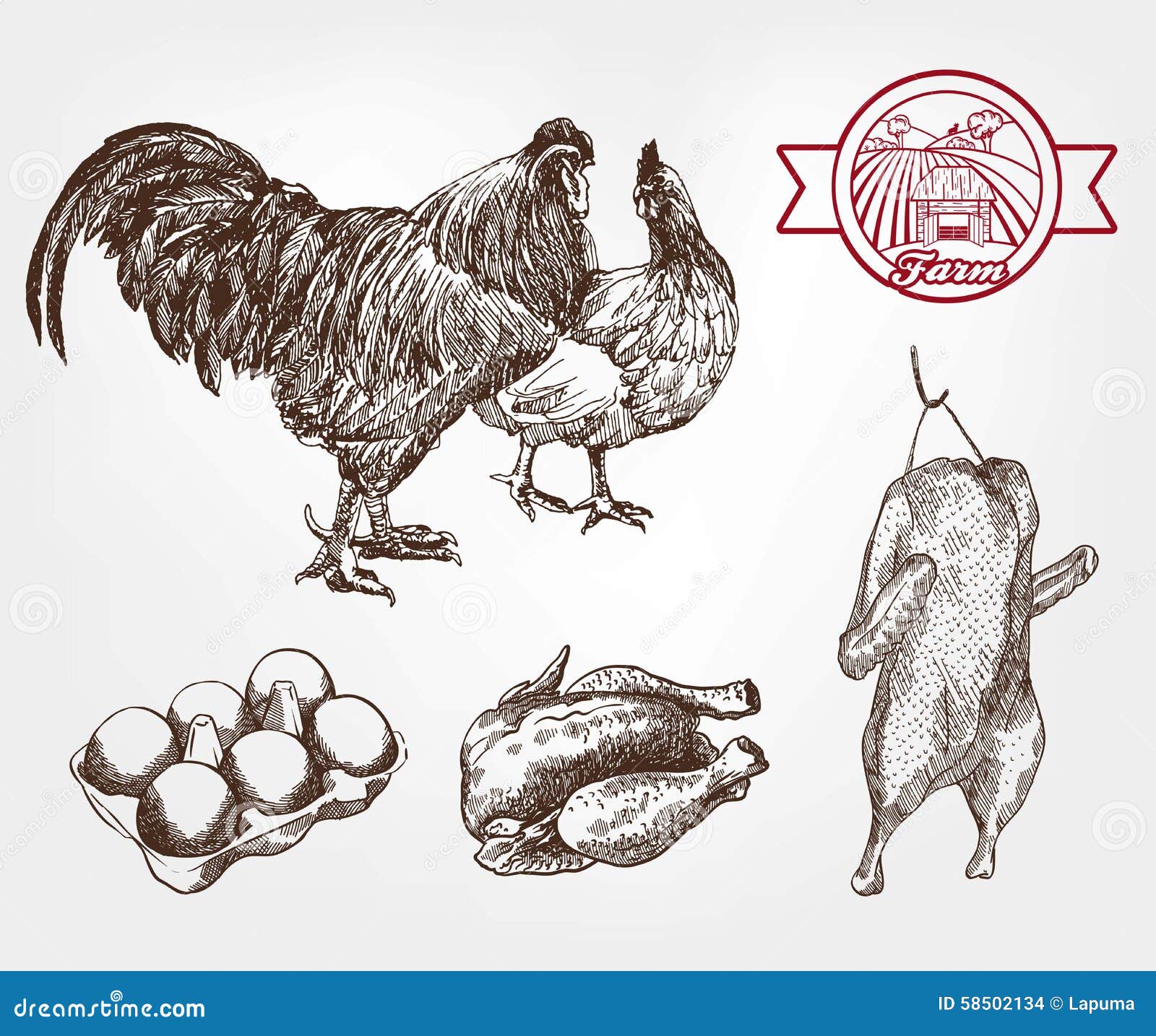 Poultry breeding stock vector. Illustration of handmade - 58502134