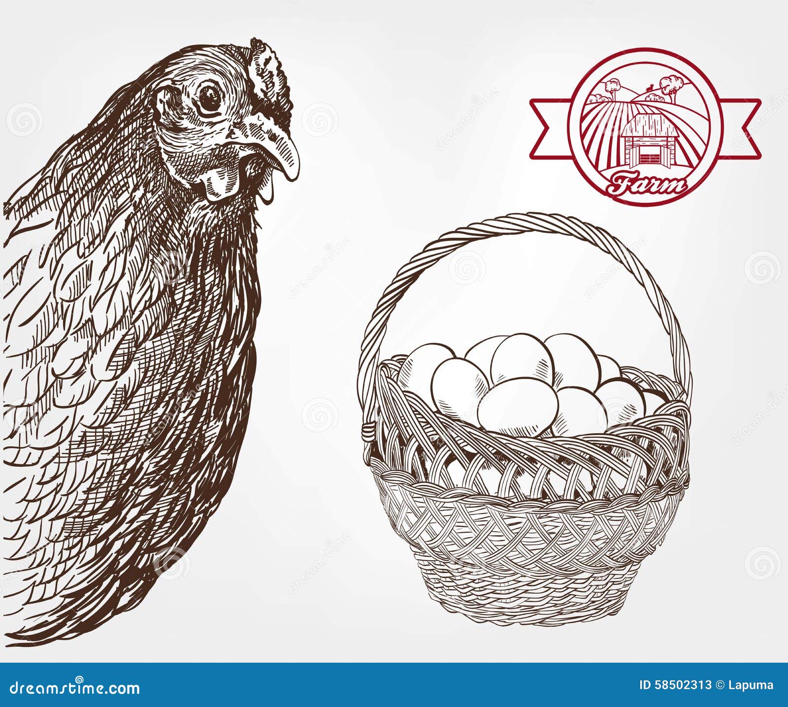 Poultry breeding stock vector. Illustration of natural - 58502313