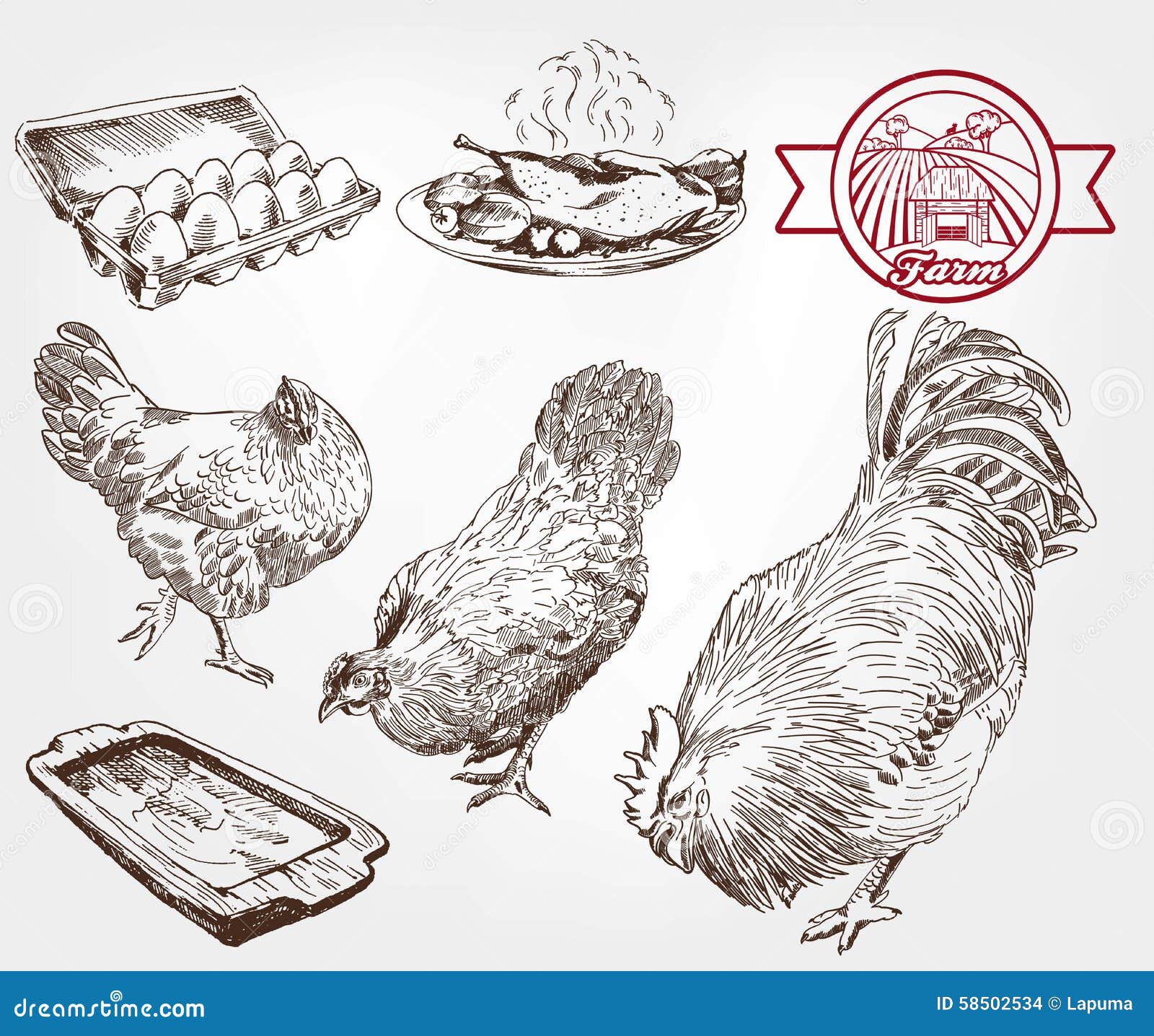 Poultry breeding stock vector. Illustration of animal - 58502534
