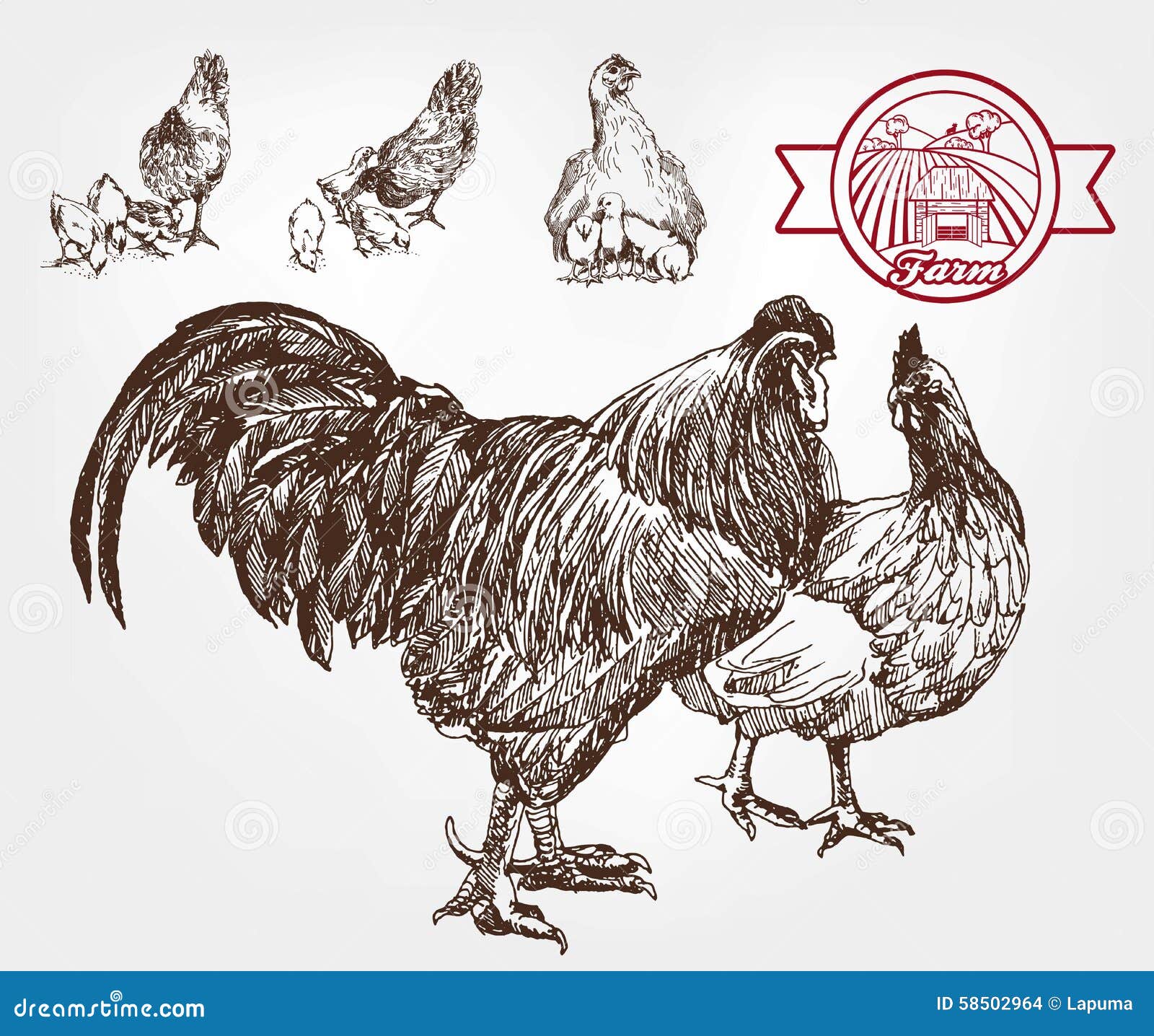 Poultry breeding stock vector. Illustration of farming - 58502964