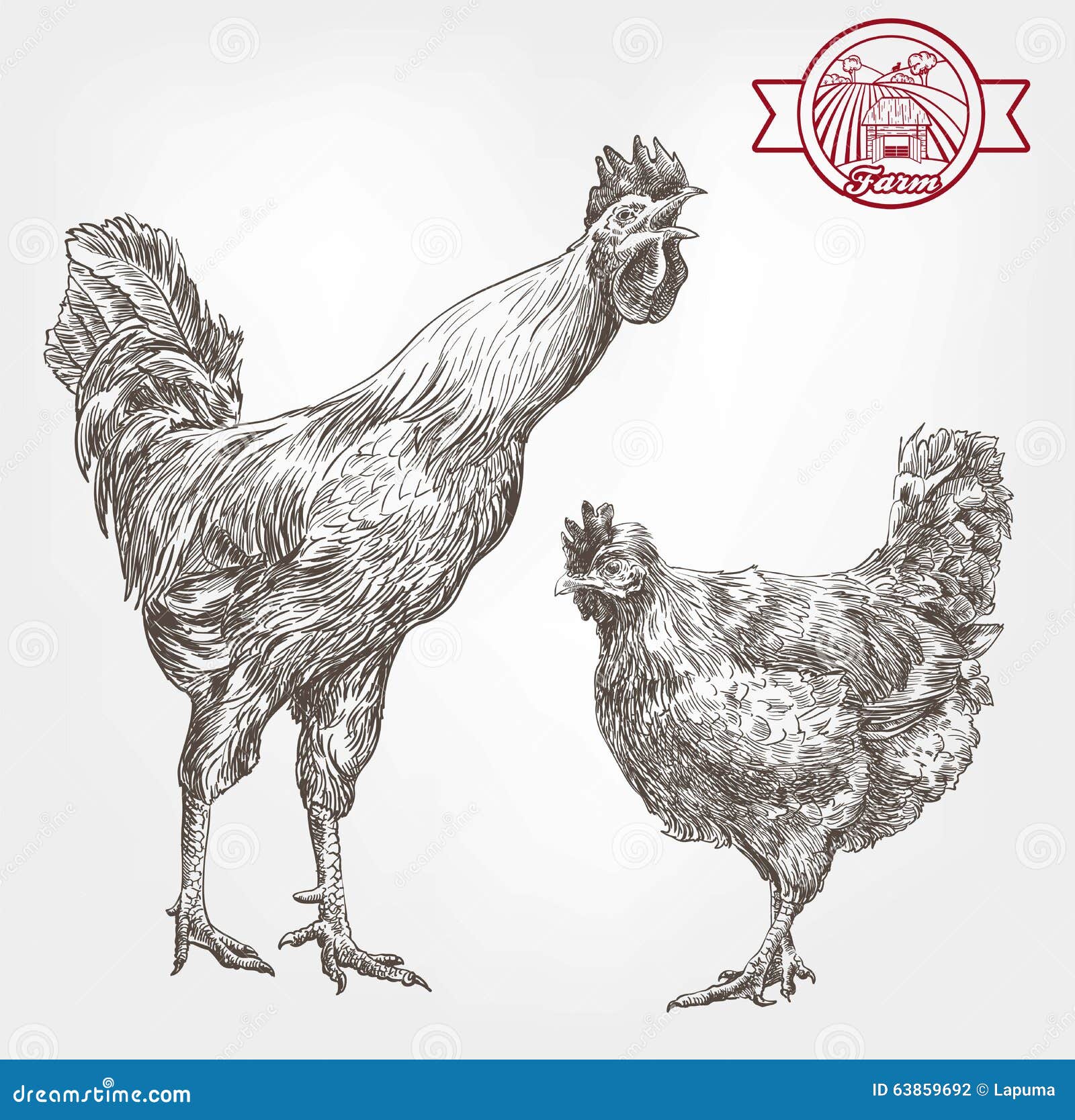 Poultry breeding sketches stock vector. Illustration of aviculture ...