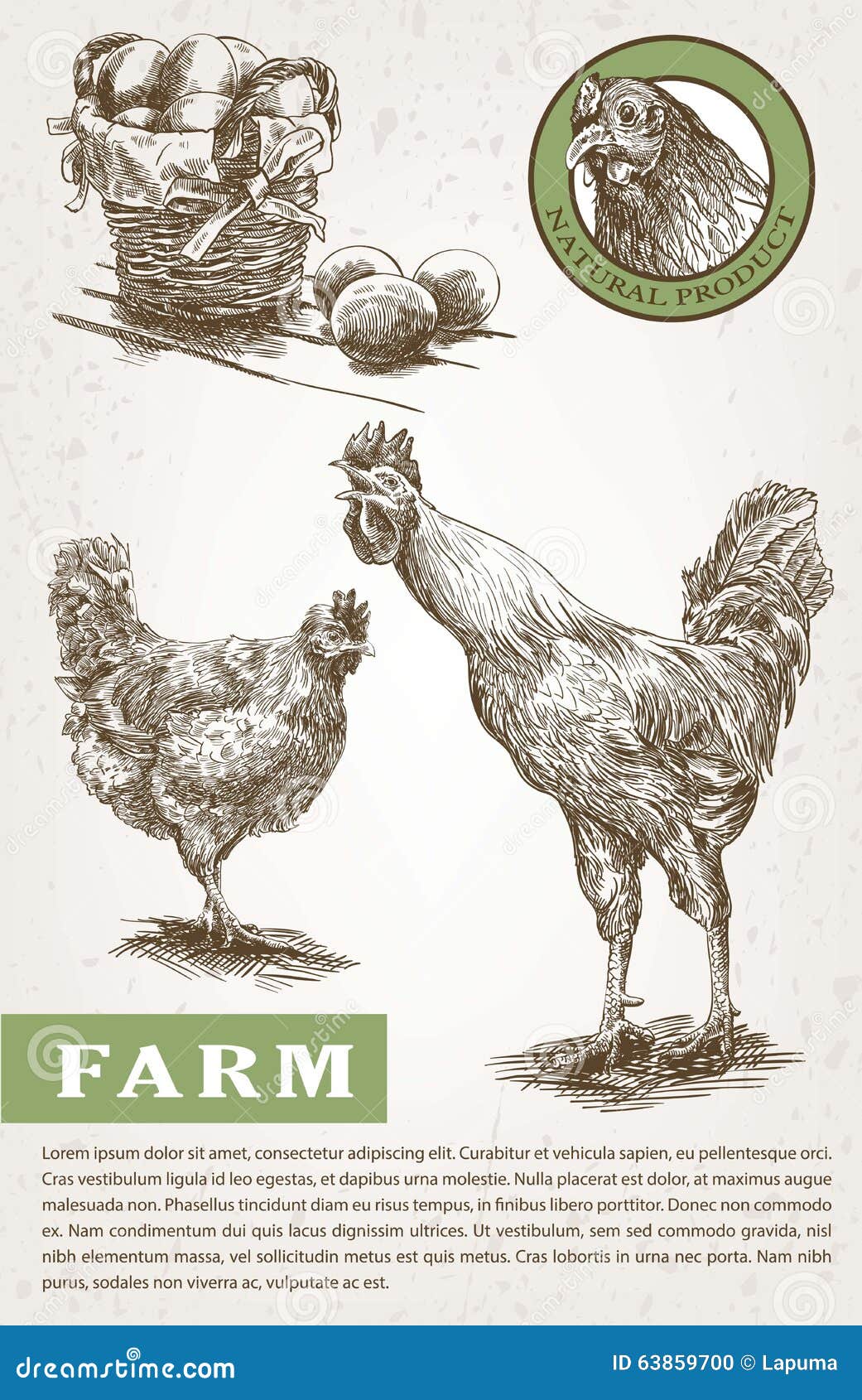 Poultry breeding sketches stock vector. Illustration of handmade - 63859700