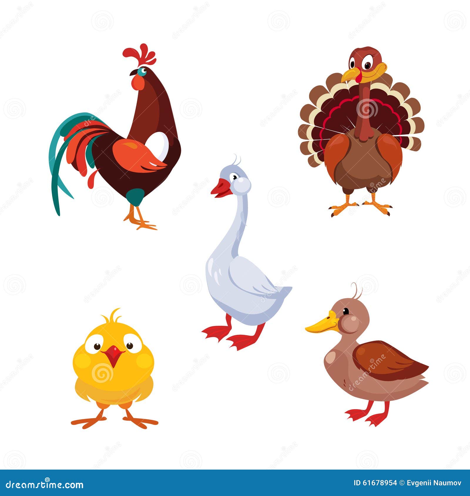 Poultry Domestic Birds, Vector Illustration Set Stock Vector ... Poultry Domestic Birds, Vector Illustration Set Stock Vector ...