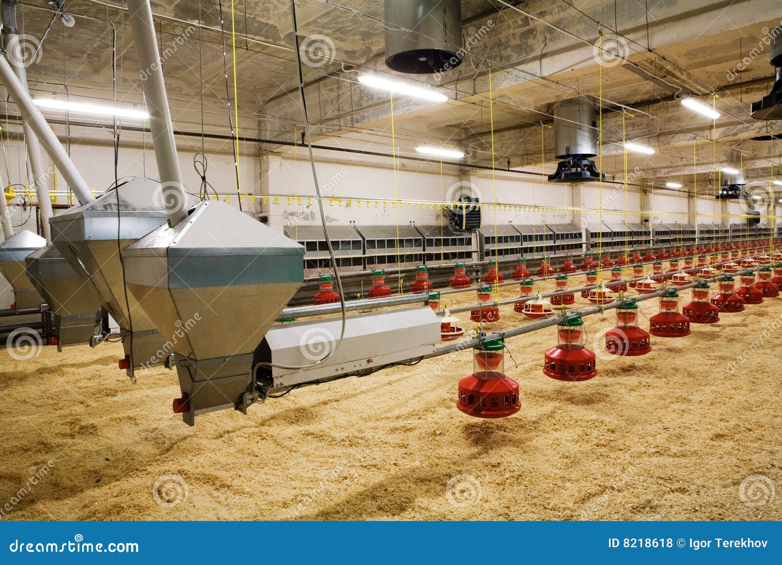 Poultry farm stock photo. Image of fowl, equipment, modern - 8218618
