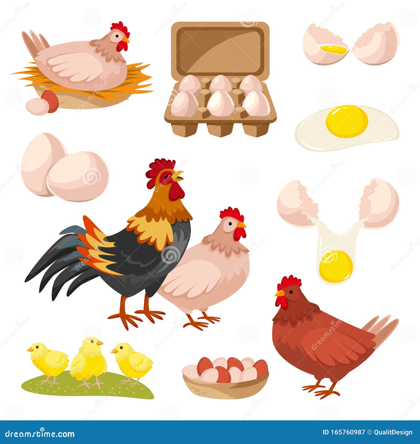 Poultry Farm Isometric Flowchart Cartoon Vector | CartoonDealer.com ... Poultry Farm Isometric Flowchart Cartoon Vector | CartoonDealer.com ...