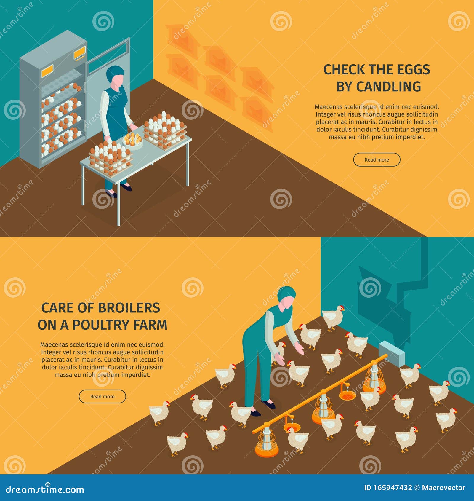 Poultry Farm Horizontal Banners Stock Vector - Illustration of ...