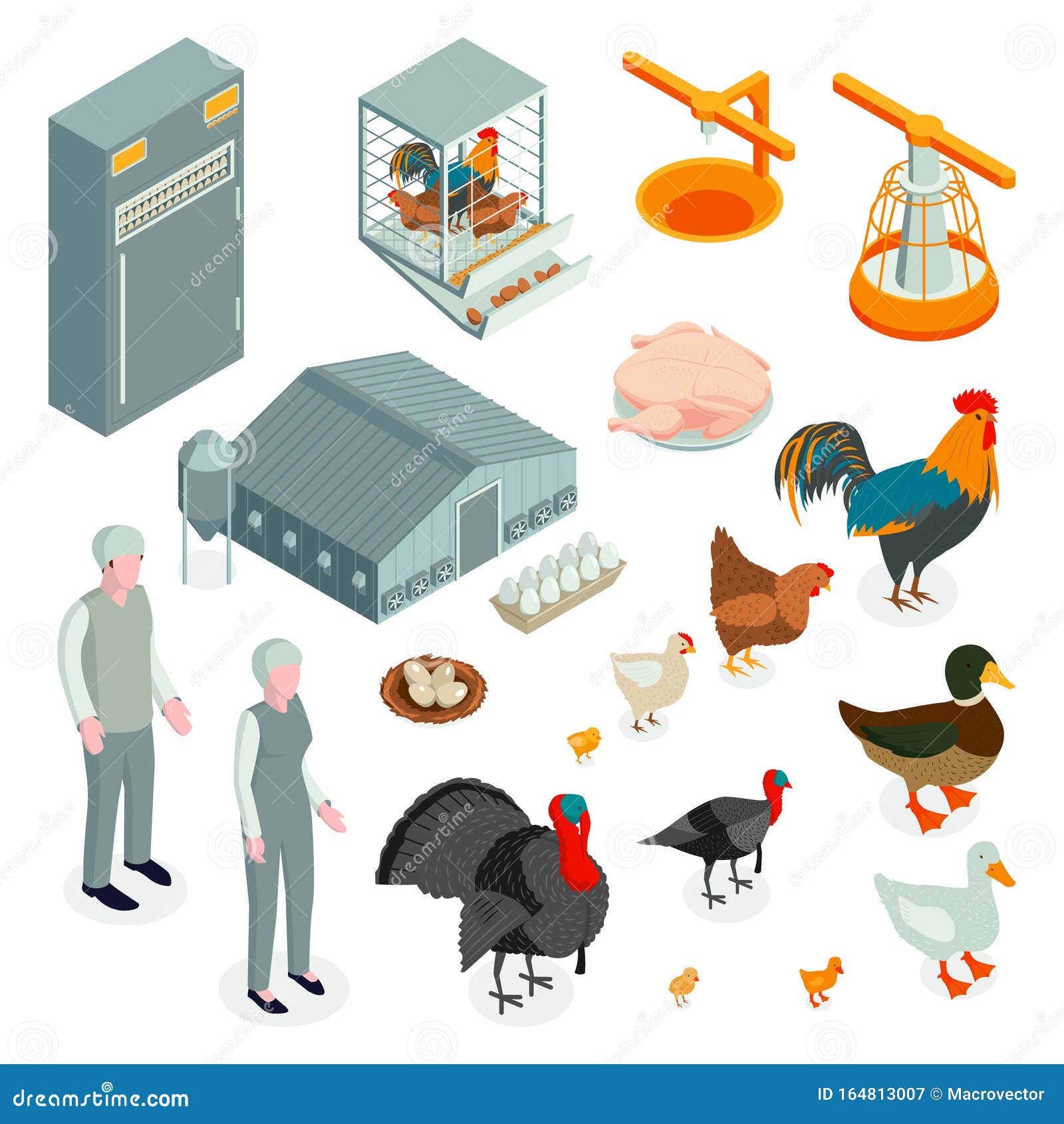 Poultry Farm Isometric Flowchart Cartoon Vector | CartoonDealer.com ... Poultry Farm Isometric Flowchart Cartoon Vector | CartoonDealer.com ...