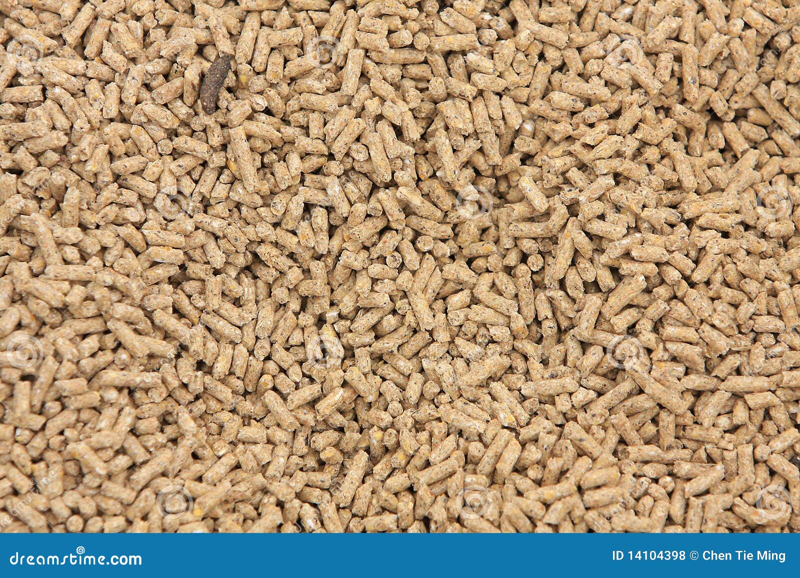 POULTRY FEED, Layer Chicken, Mass, Digestibility, Enzyme, Premix ...