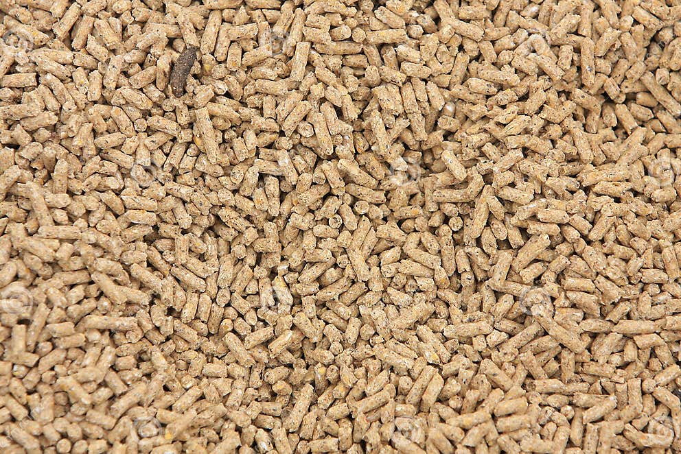 Poultry feed stock photo. Image of agriculture, food - 14104398