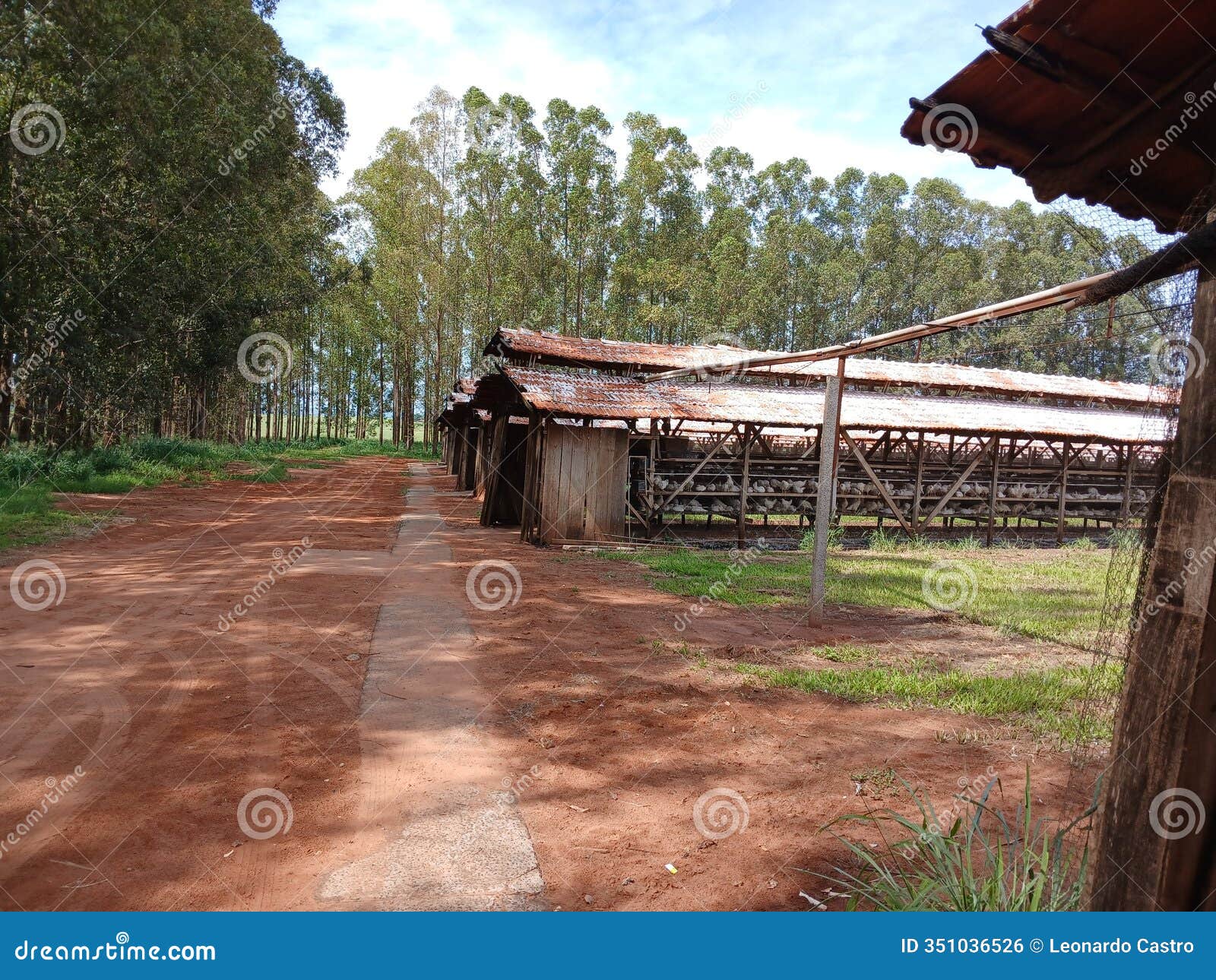 Poultry Houses with Rustic Roofs Stock Photo - Image of roofs, houses ...