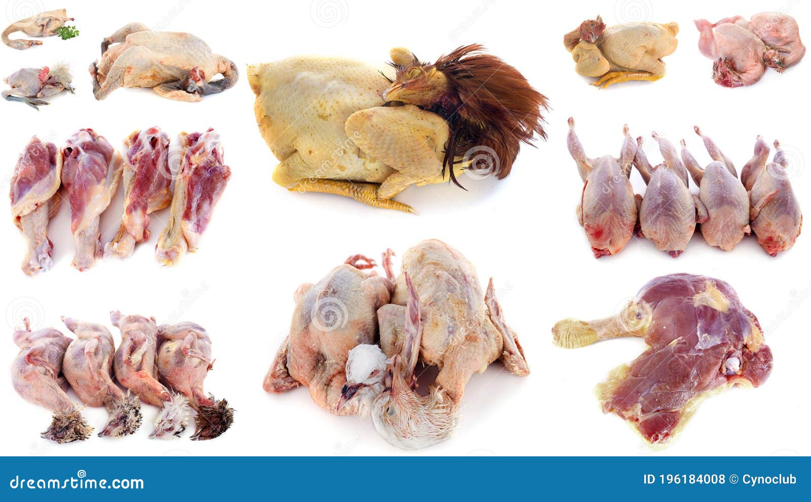 Group of poultry meat stock photo. Image of poultry - 196184008