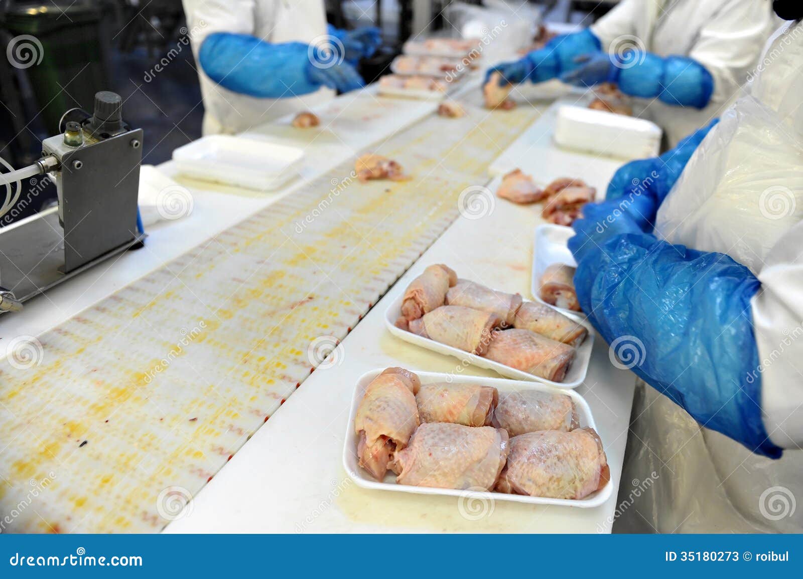 Poultry Meat Processing stock image. Image of industrial - 35180273