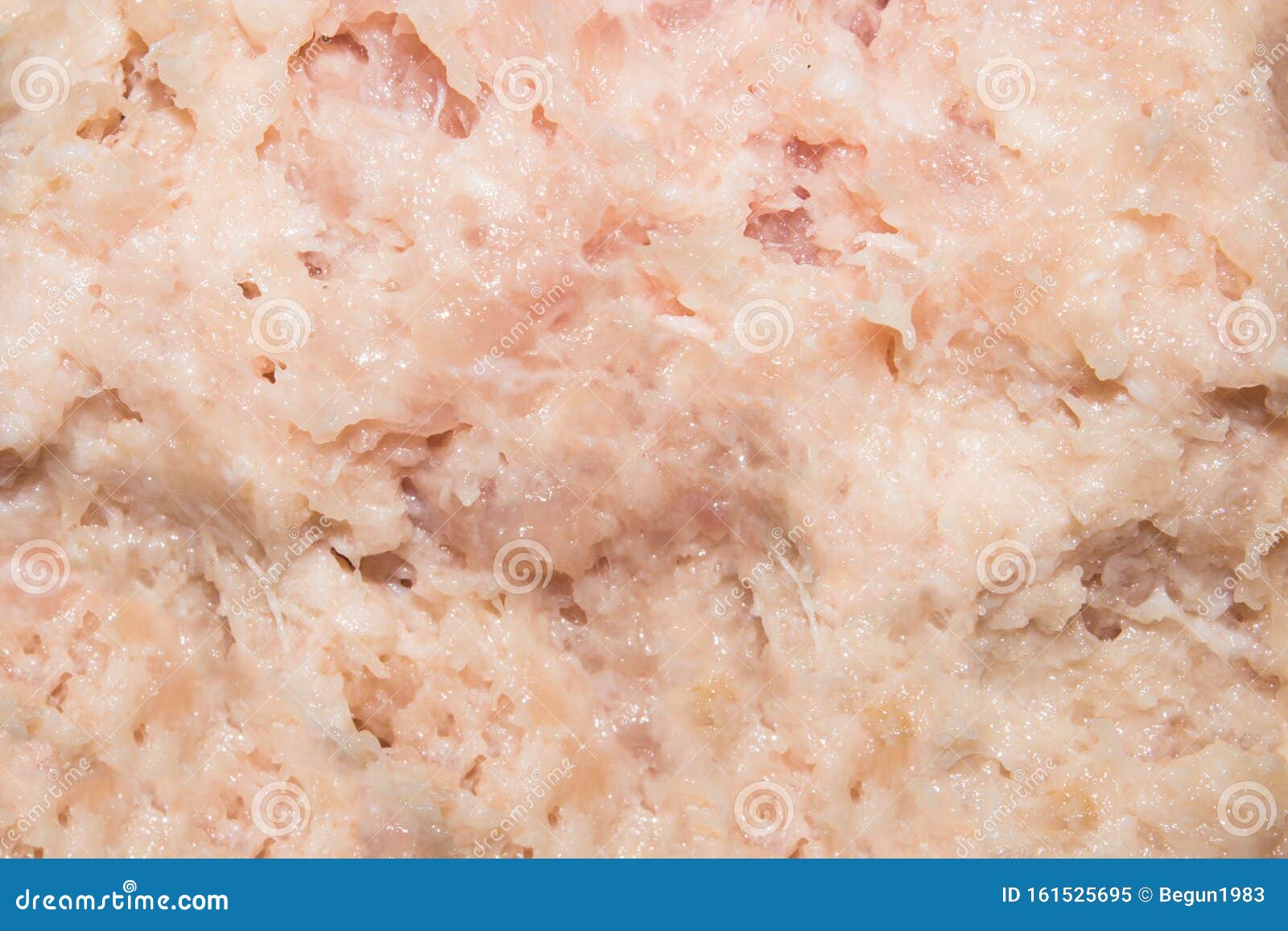Texture of Shredded Turkey Meat.Poultry, Meat, Turkey Background. Stock ...