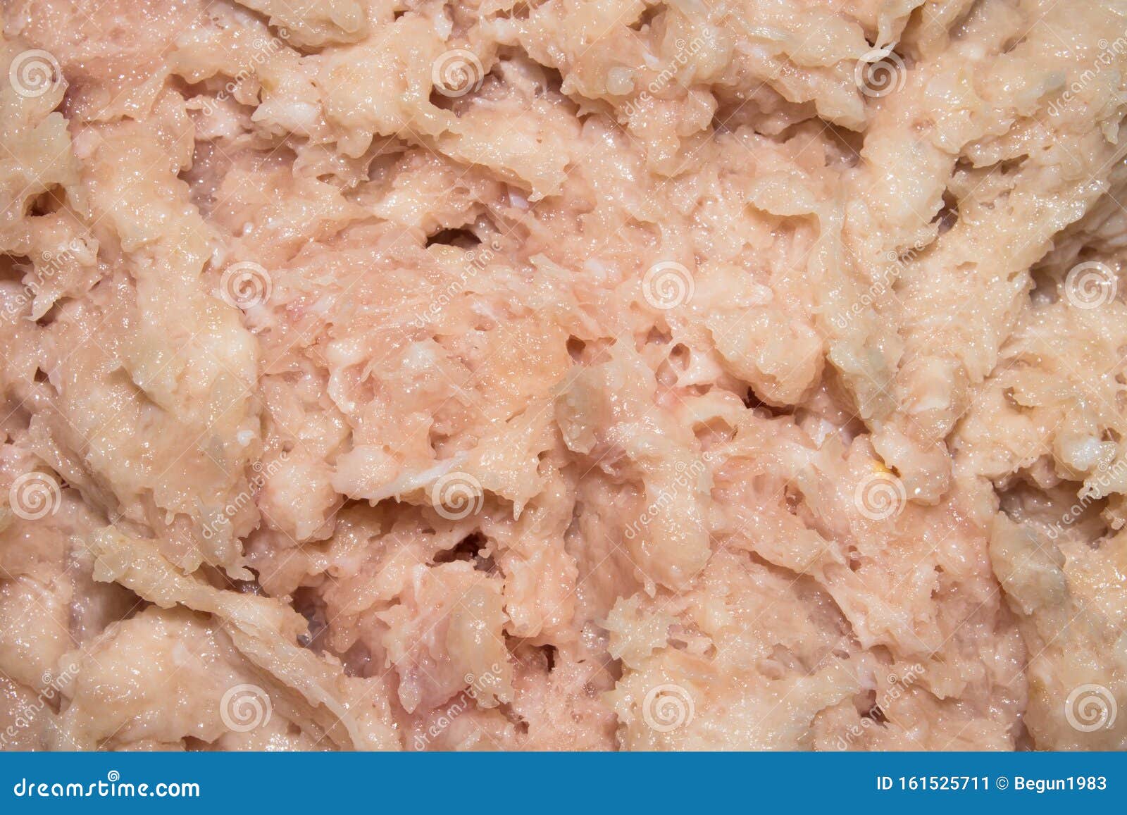 Texture of Shredded Turkey Meat.Poultry, Meat, Turkey Background. Stock ...