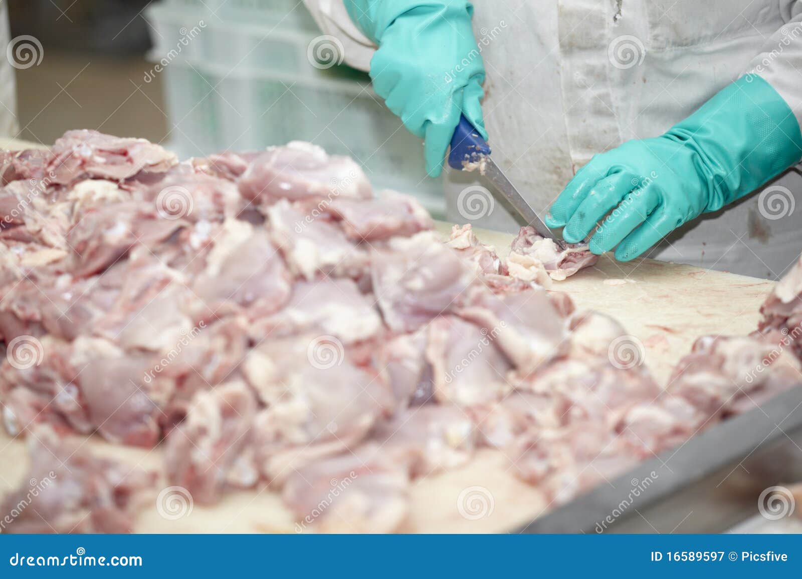 Poultry processing stock image. Image of prepare, fresh - 16589597