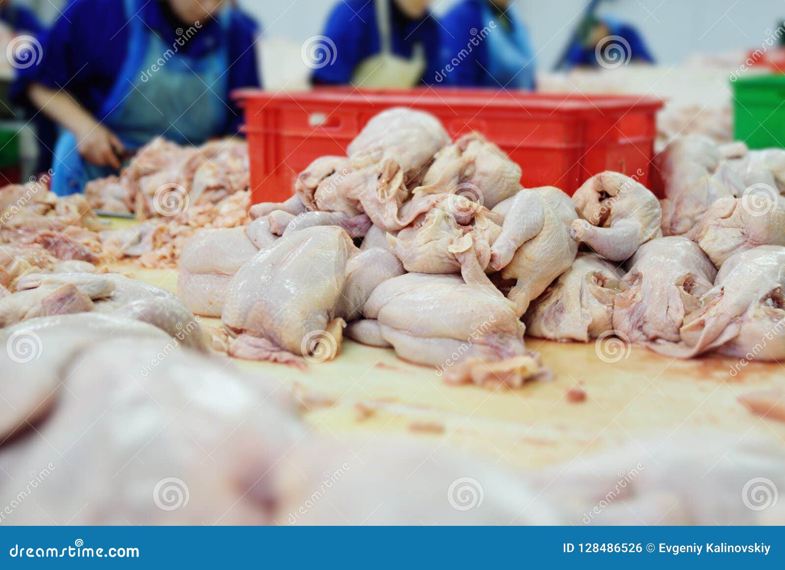 Processing Poultry in the Food Industry. Chicken Stock Photo - Image of ...