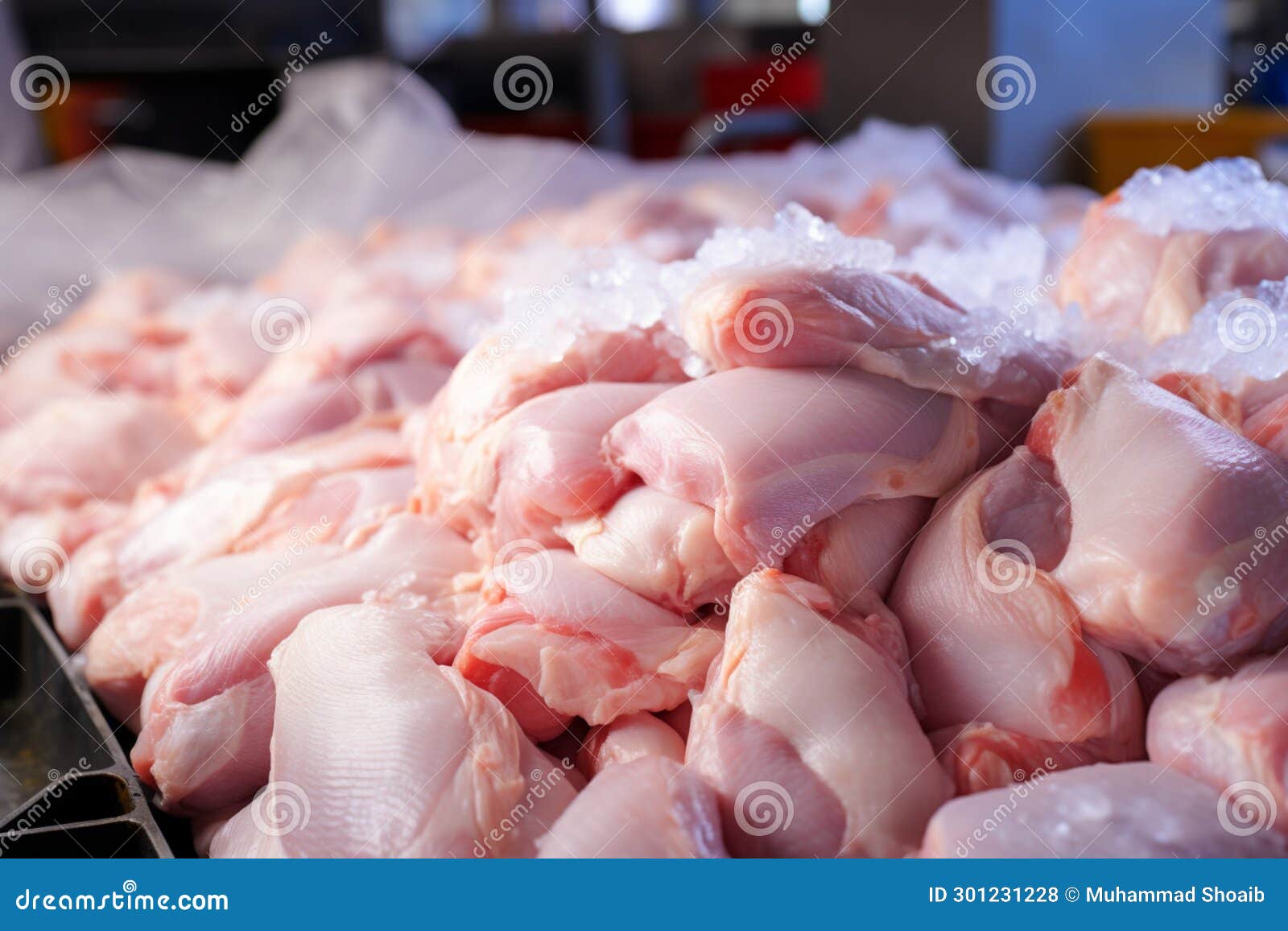 Poultry Processing Stages of Chicken Meat Production Stock Illustration ...