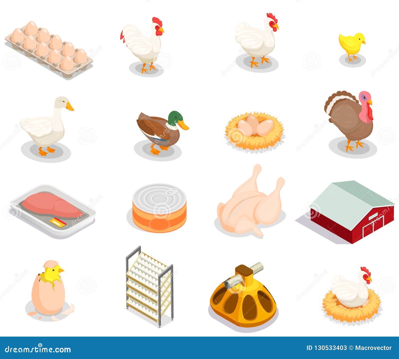 Poultry Production Isometric Set Stock Vector - Illustration of cooking ...