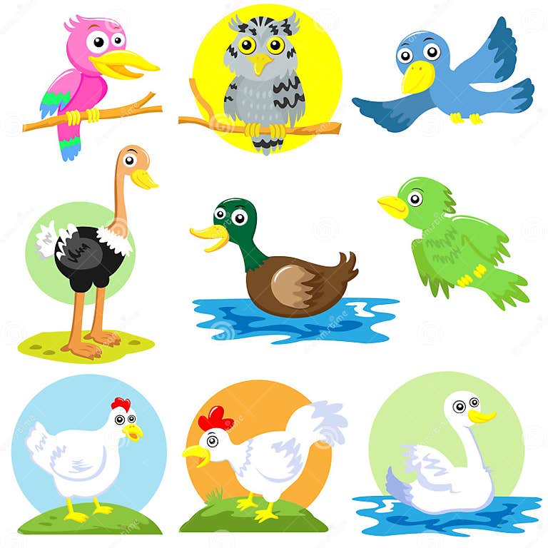 Poultry set stock vector. Illustration of design, livestock - 19977420